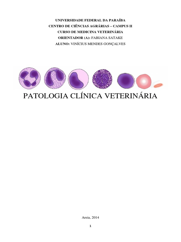 Patologia CL Nica - Vin Cius | PDF | Anemia | Hemácia