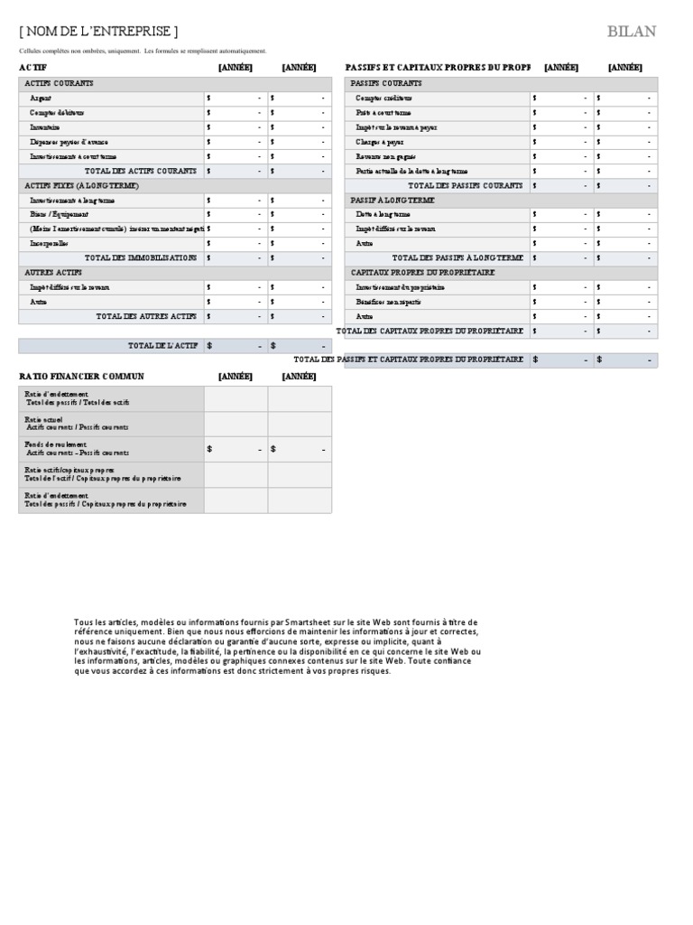 IC Balance Sheet Template 17134 - FR Copie Copie Copie Copie | Download ...