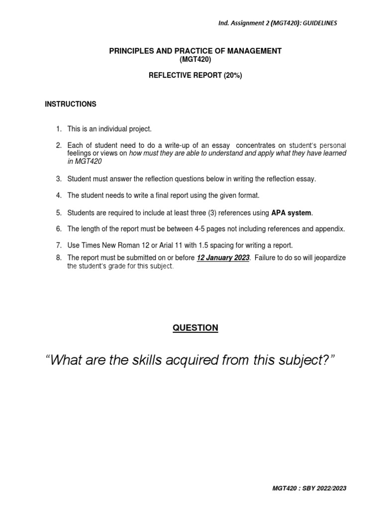 Individual Assignment 2. Reflective Paper | PDF