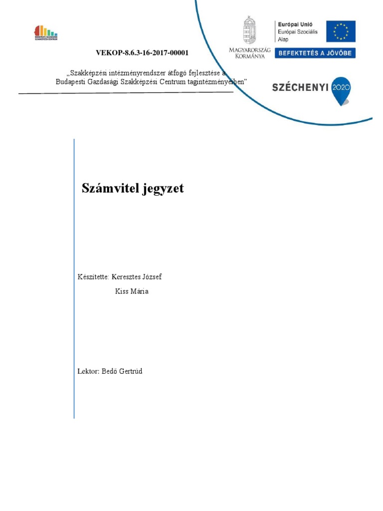 Számvitel Jegyzet | PDF