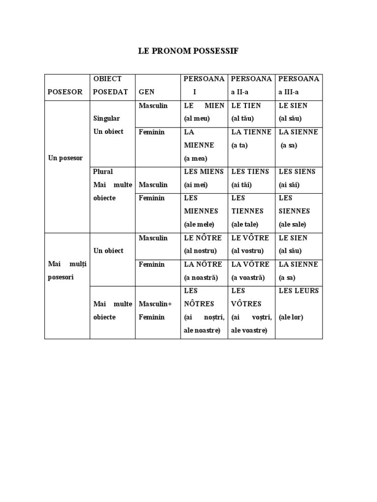 Le Pronom Possessif | PDF