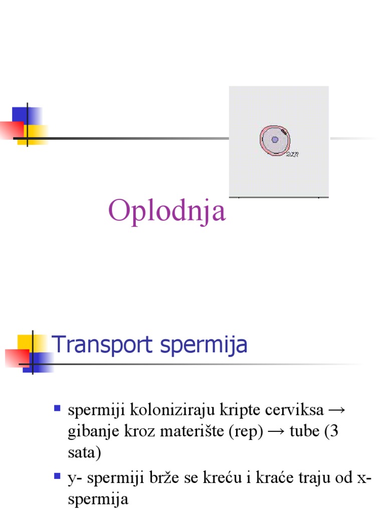 Oplodnja | PDF