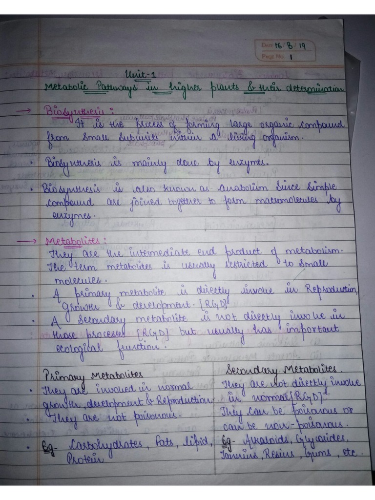 Handwritten Cognosy-2 All Units Notes | PDF