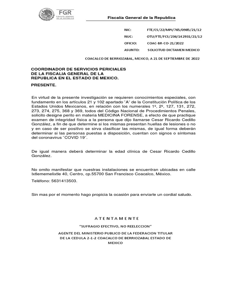 Dictamen Medico PDF | PDF