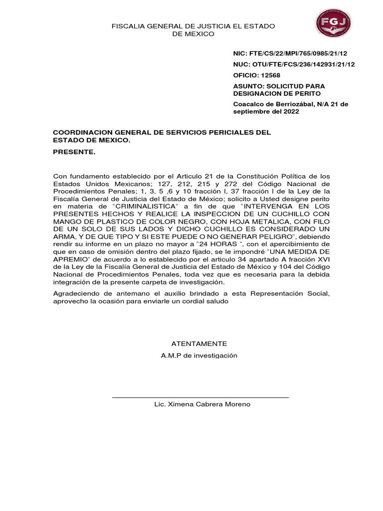 Solicitud de Perito | PDF