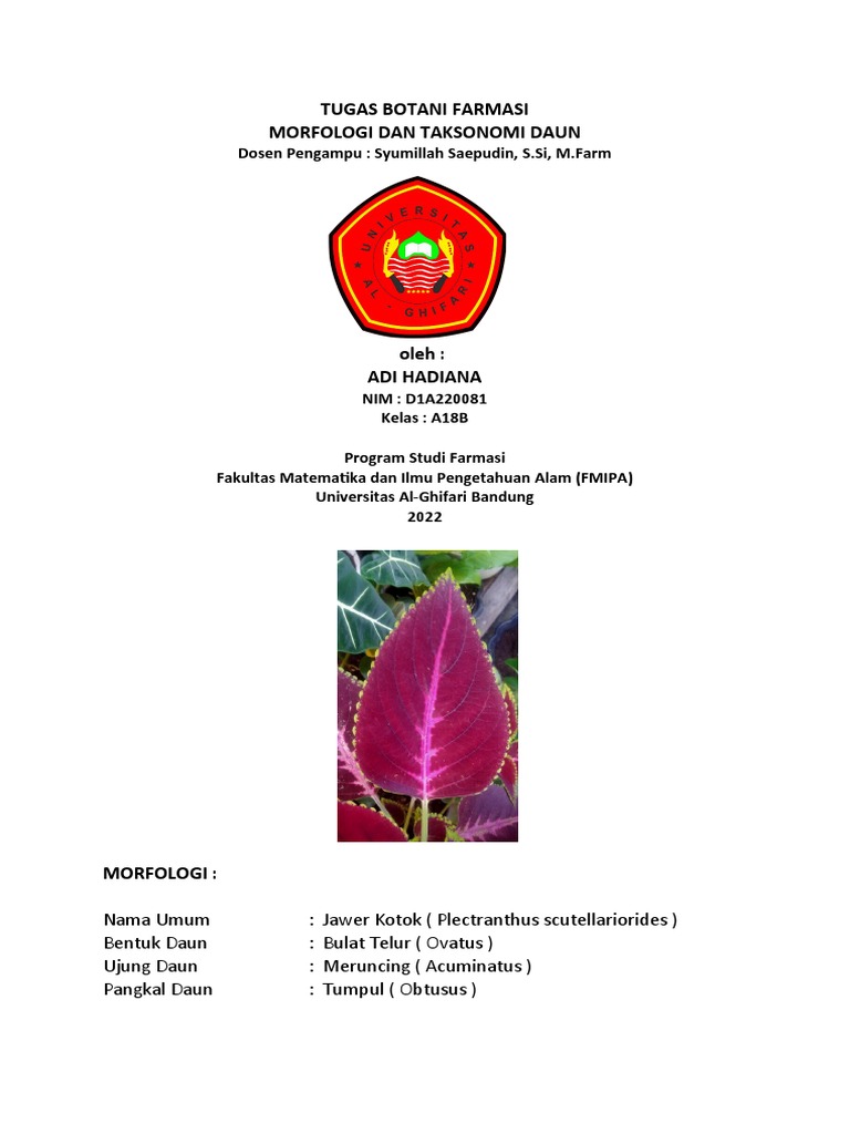 Morfologi Dan Taksonomi Jawer Kotok | PDF
