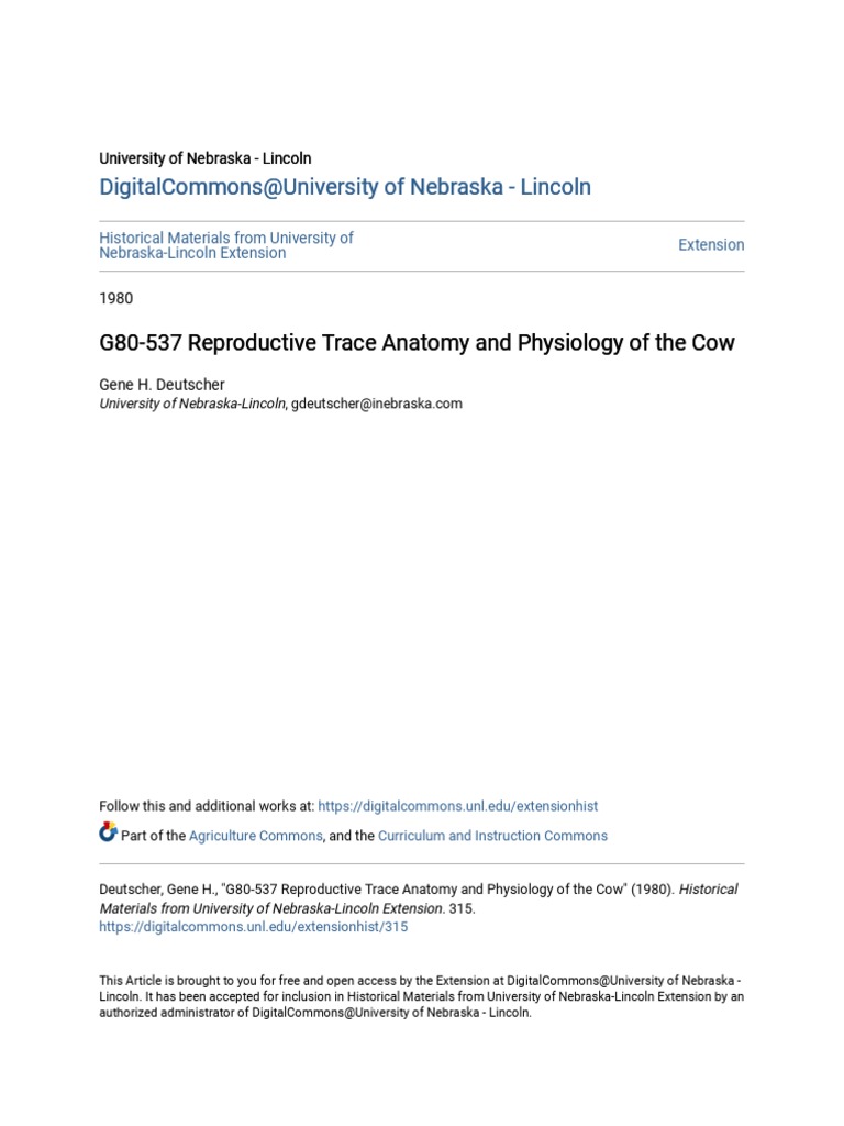 G80-537 Reproductive Trace Anatomy and Physiology of The Cow | PDF ...