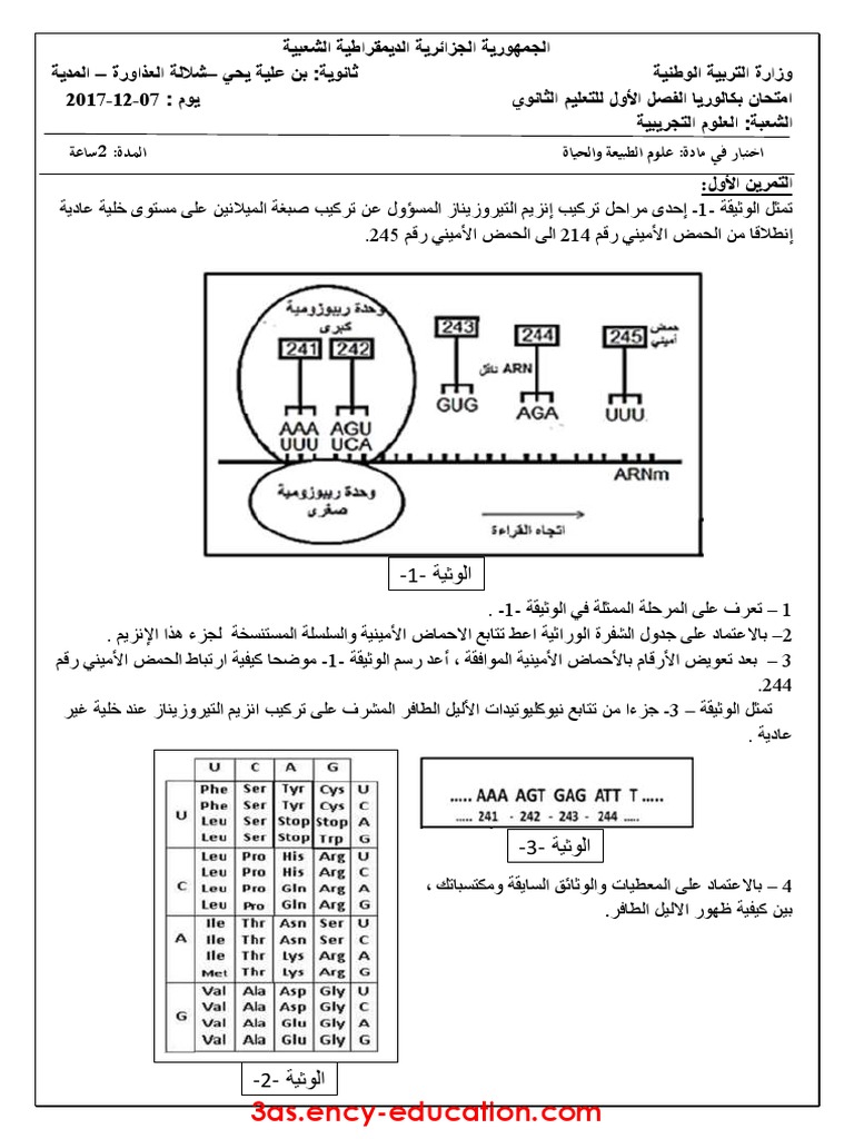 Dzexams 3as Sciences 775932 | PDF