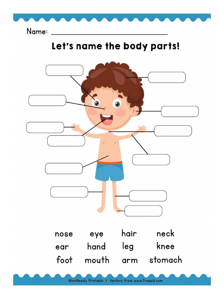 FREE - Identify The Body Parts | PDF