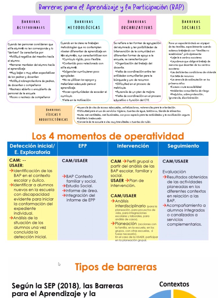 Barreras para El Aprendizaje y La Participación (BAP) | PDF | Plan de estudios | Aprendizaje