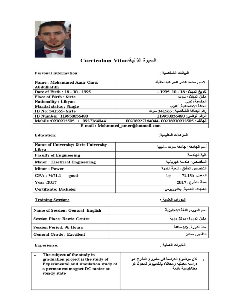 Arabic & English CV محمد عامر - 00009999 | PDF