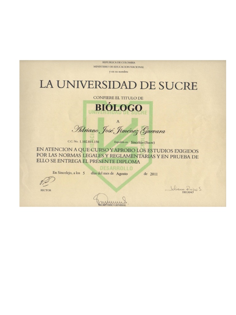 Diploma U | PDF