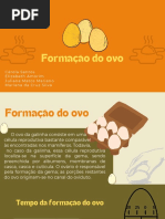 Desenvolvimento Embrionario Da Galinha | PDF | Embrião | Ovo