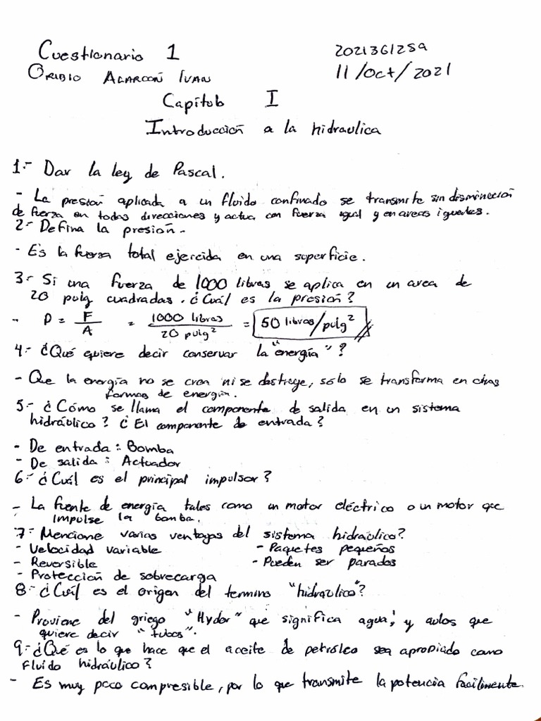 1 Cuestionario IOA | PDF