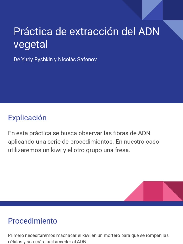 Práctica de Extracción Del ADN Vegetal | PDF
