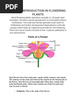 Pollination Class 12 Biology Project | PDF | Pollination | Pollinators