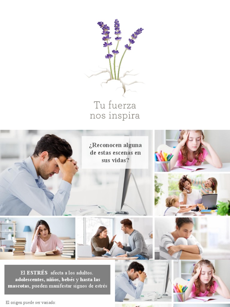 07271557439-VIVEJUST - Una Vida Sin Estreì - S | PDF | Estrés (biología ...