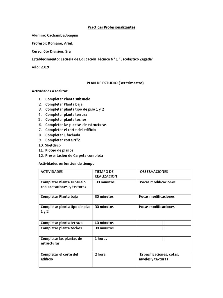 Plan De Practicas Profesionalizantes Pdf