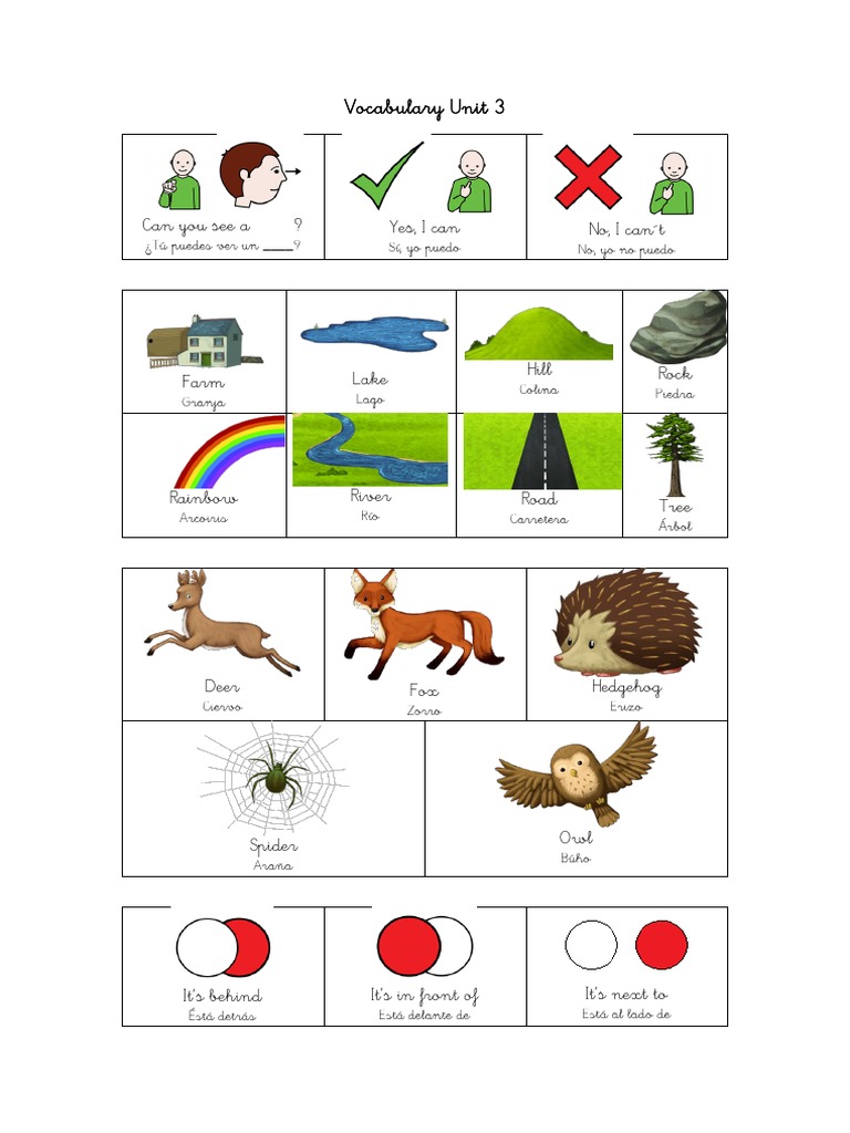 Vocabulario Adaptado, U3 | PDF