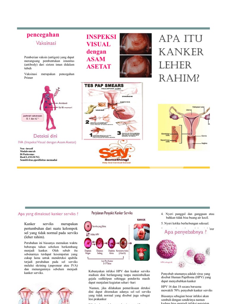 Leaflet CA Serviks | PDF | Sains & Matematika