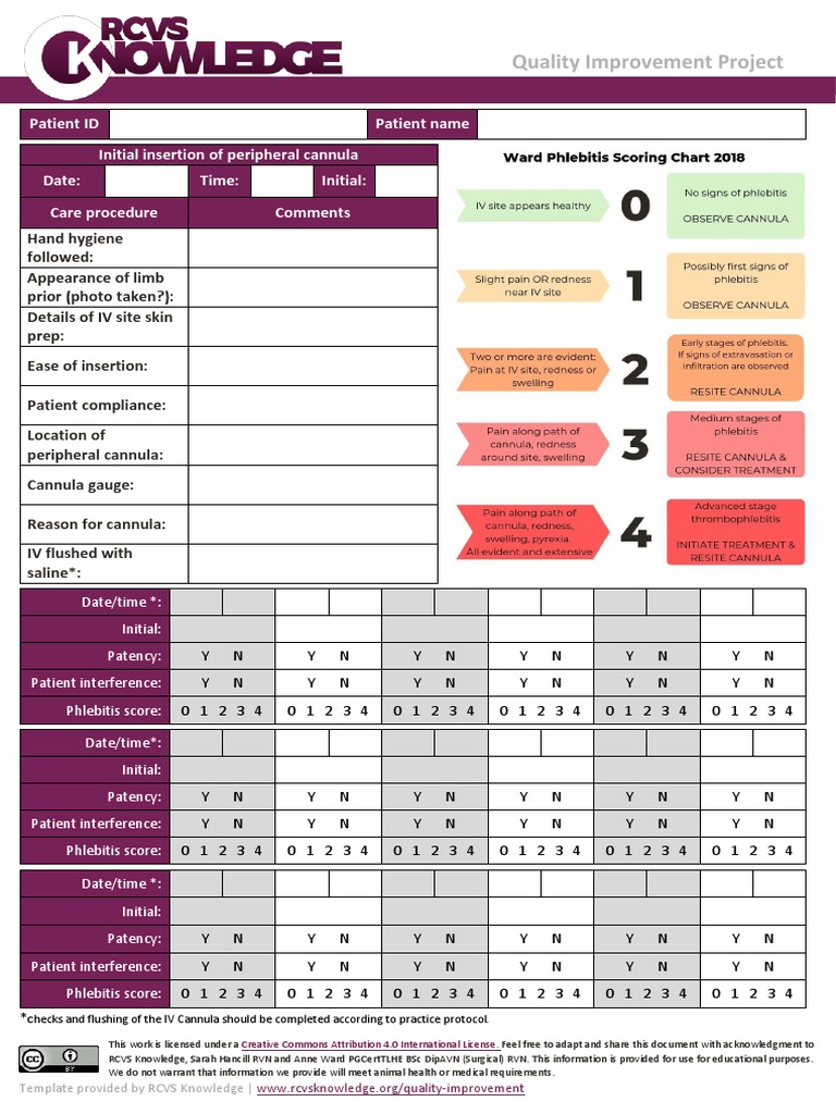 Peripheral Cannula List and Phlebitis Score Autosaved | PDF | Patient ...