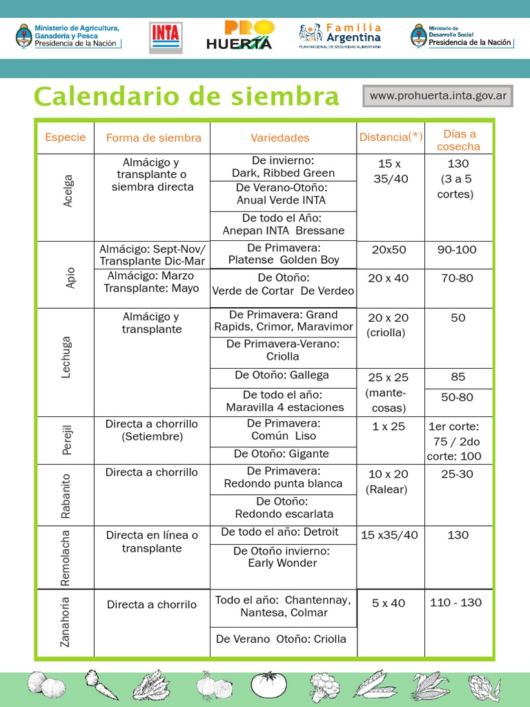 Calendario de Siembra Del INTA | PDF