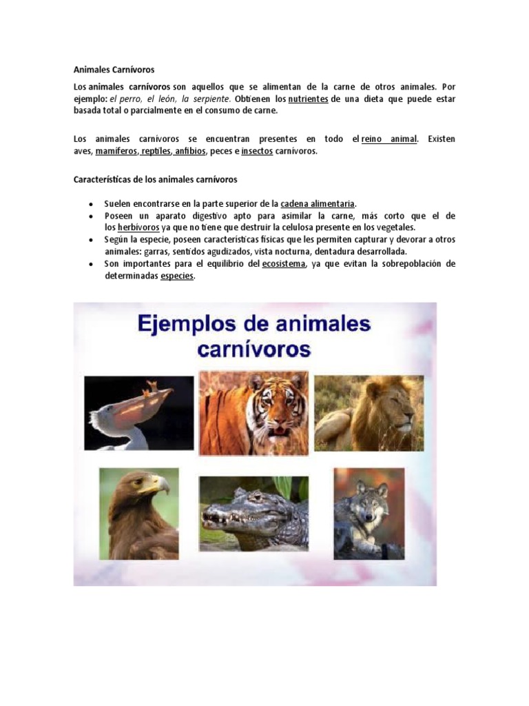 Animales Carnívoros | PDF