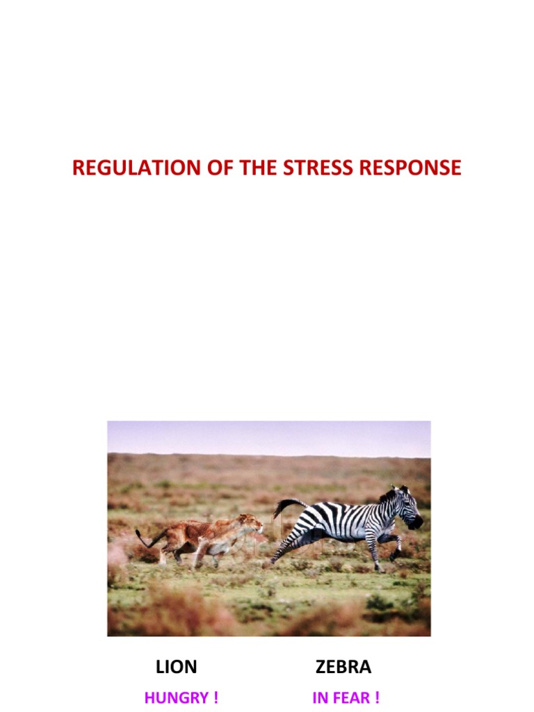Regulation of Stress Response | PDF | Stress (Biology) | Hypothalamus