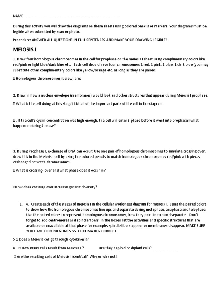Meiosis Diagrams Worksheet | PDF | Meiosis | Mitosis