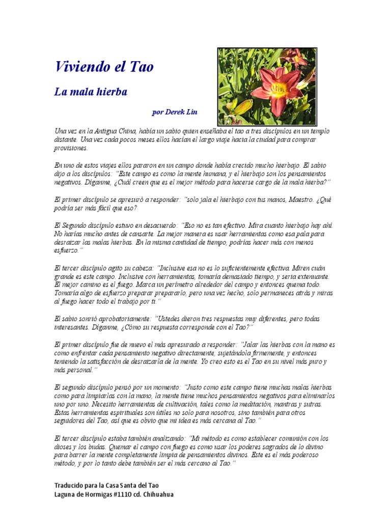 La Mala Hierba | PDF | Meditación | Hierba