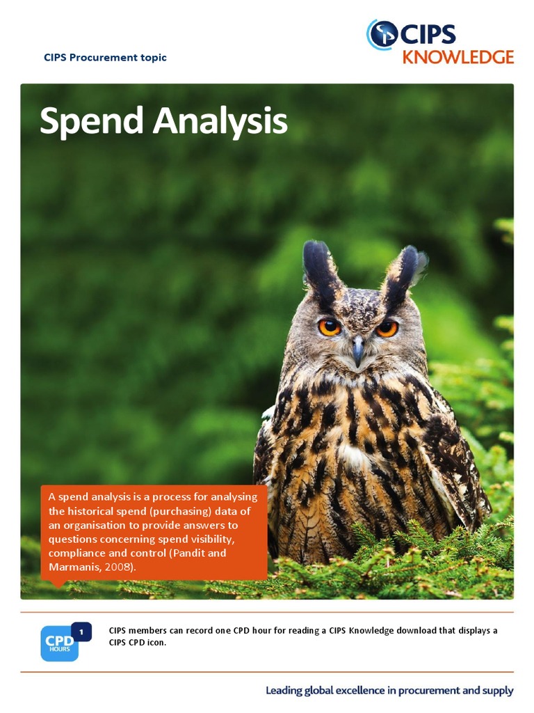 Spend Analysis | Download Free PDF | Procurement | Supply Chain