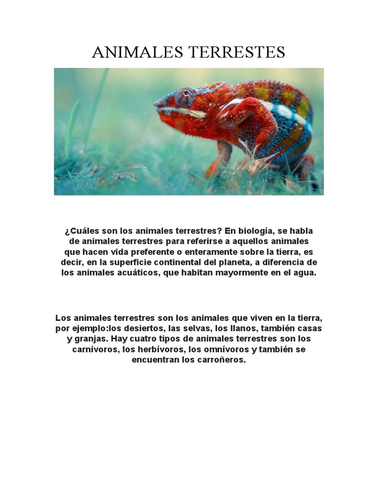 Animales Terrestes | PDF
