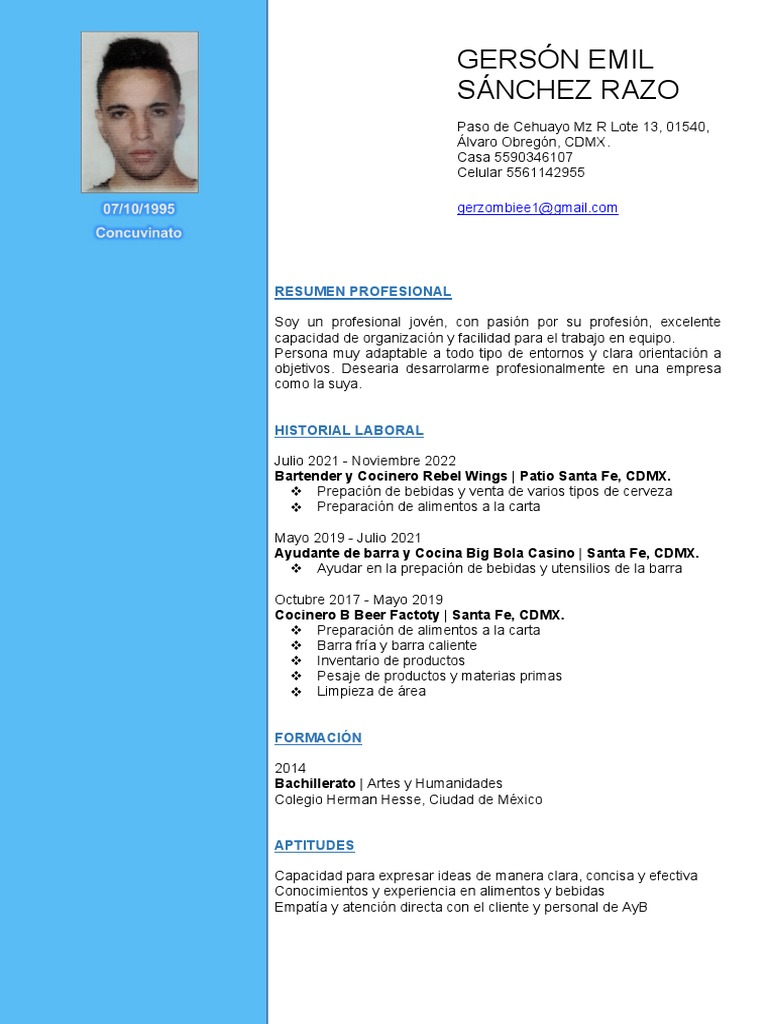 CV Emil Actualizado | PDF
