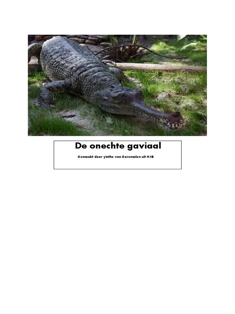 De On Echte Gaviaal Opdracht | PDF