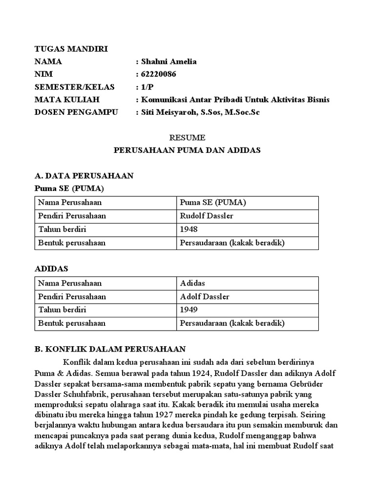 Resume Puma & Adidas | PDF