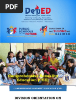 Cse Action Plan | PDF