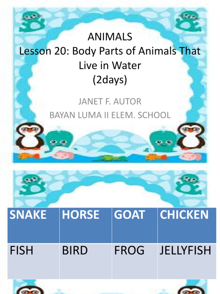 Aquatic Animal Body Structures | PDF