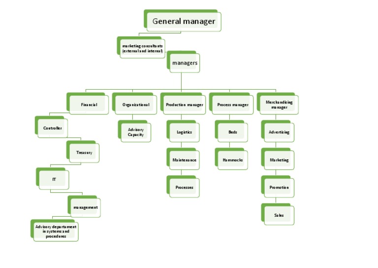 Organizational Structures | PDF