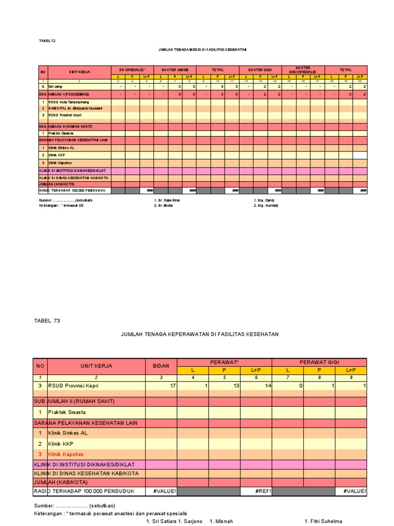 Data SDMK Profil Ke Puskesmas (Bani) | PDF