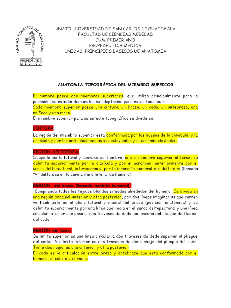 Documento De Apoyo Miembros Pdf Codo Mano