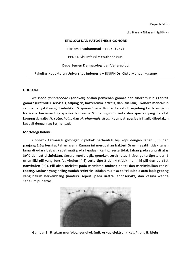 Gonore - Etiologi Dan Patogenesis | PDF