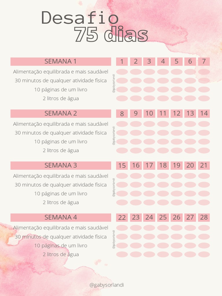 Desafio 75 Dias | PDF