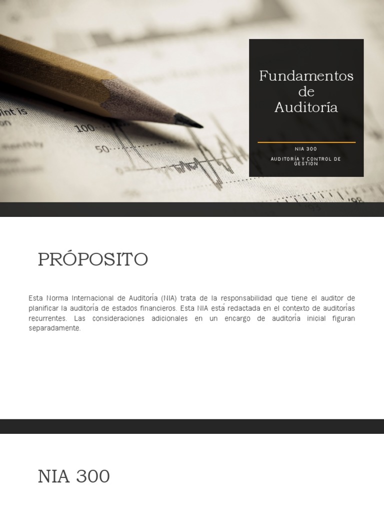 Nia 300 | PDF | Auditoría | Planificación