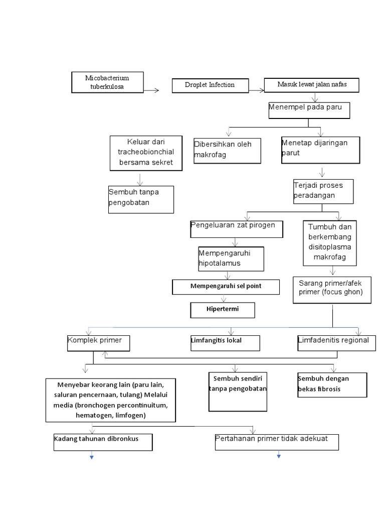 Pathway Tuberkulosis Paru | PDF