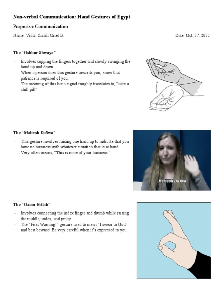 Non-Verbal Communication: Hand Gestures of Egypt | PDF