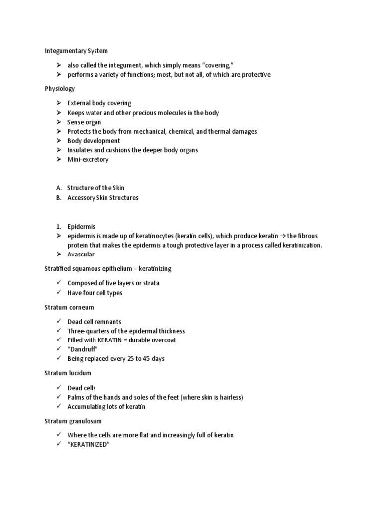 ANAPHY REVIEWER 4 Integumentary System | PDF | Integumentary System ...