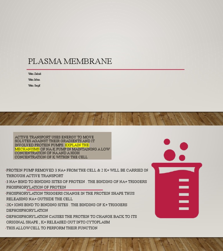 Present Plasma Membrane | PDF