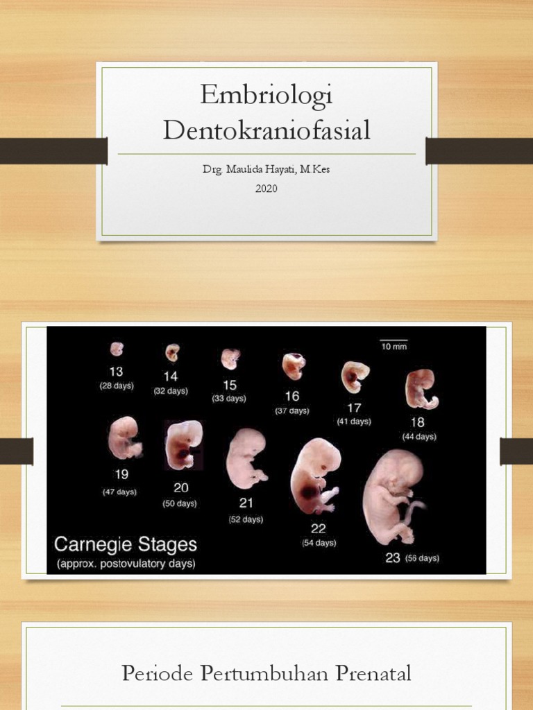 KP 1.2 Memahami Embriologi Dentokraniofasial | PDF