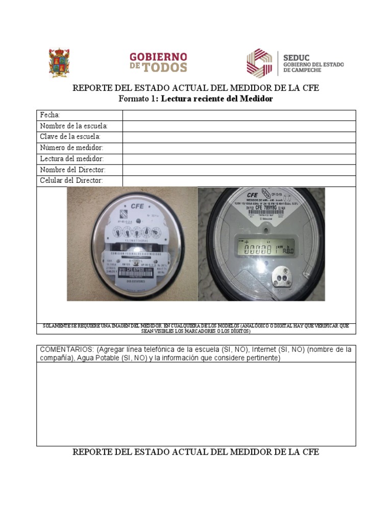 Formatos C.F.E. | PDF