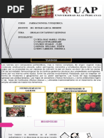 Bpa, BPM y BPD | PDF
